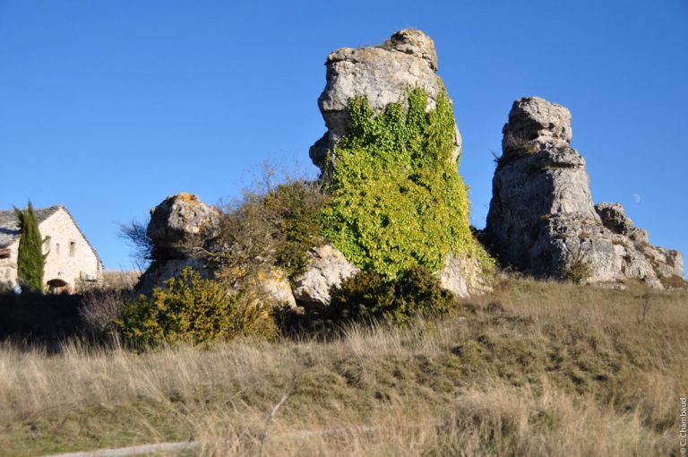 Le regard du photographe sur... le Larzac - Découvrir