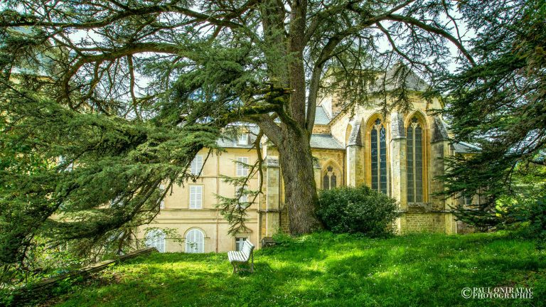 Le regard du photographe sur... l'Abbaye de Loc Dieu - Découvrir