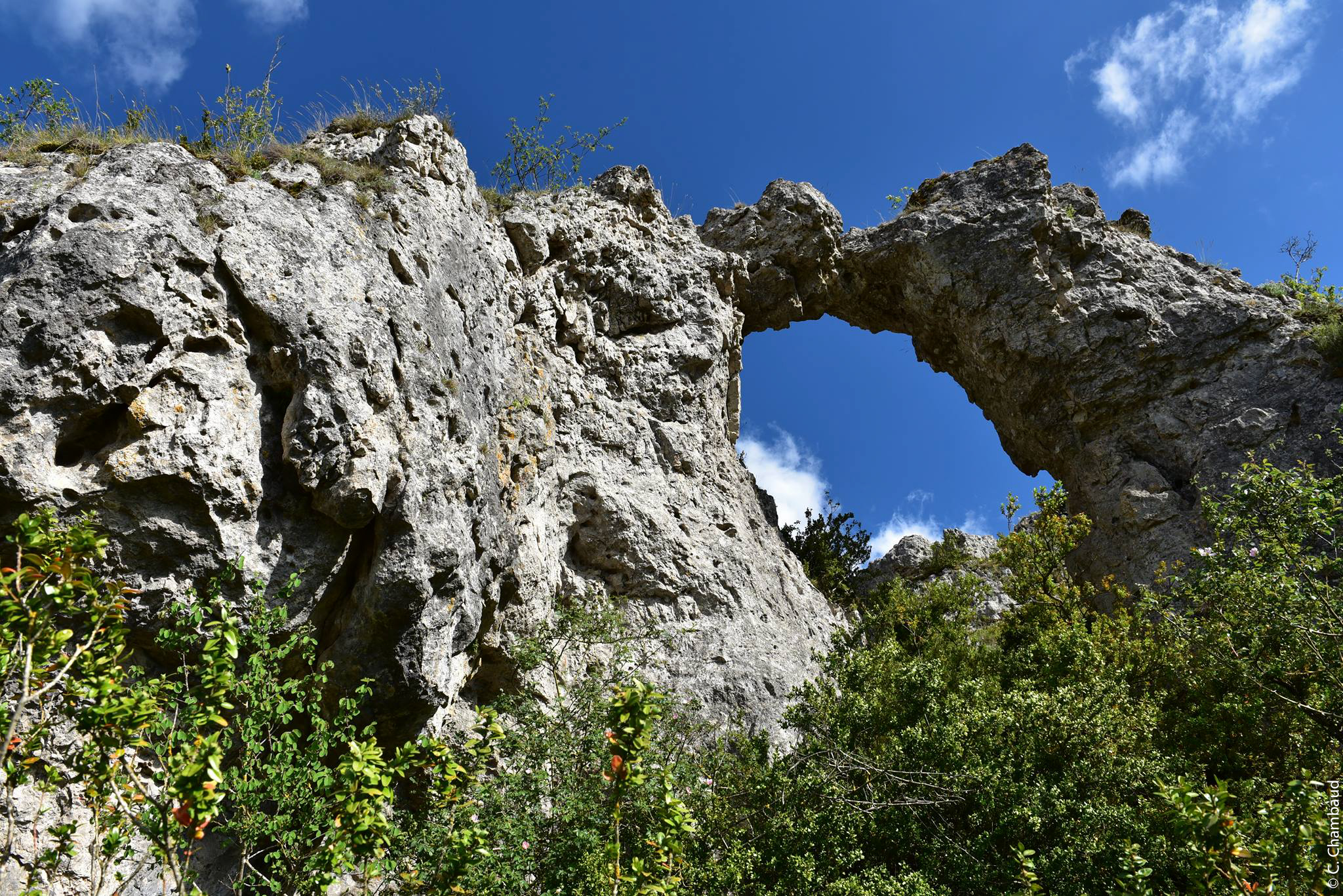 Le Larzac en fleurs - Découvrir