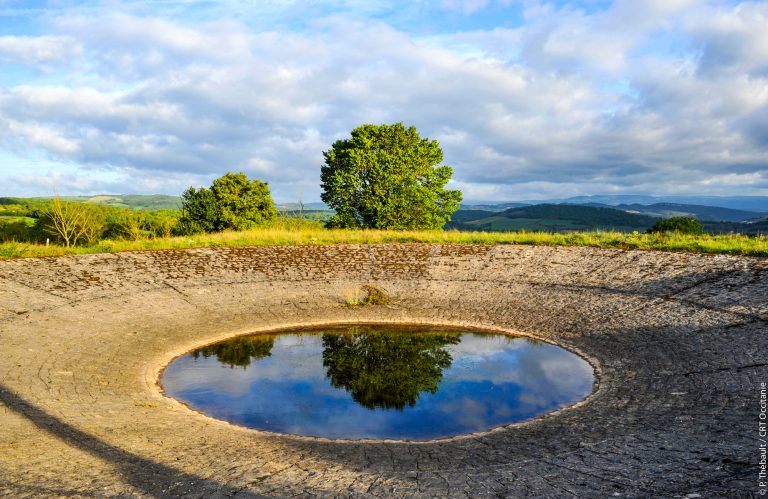Les Lavognes du Larzac et leur brebis