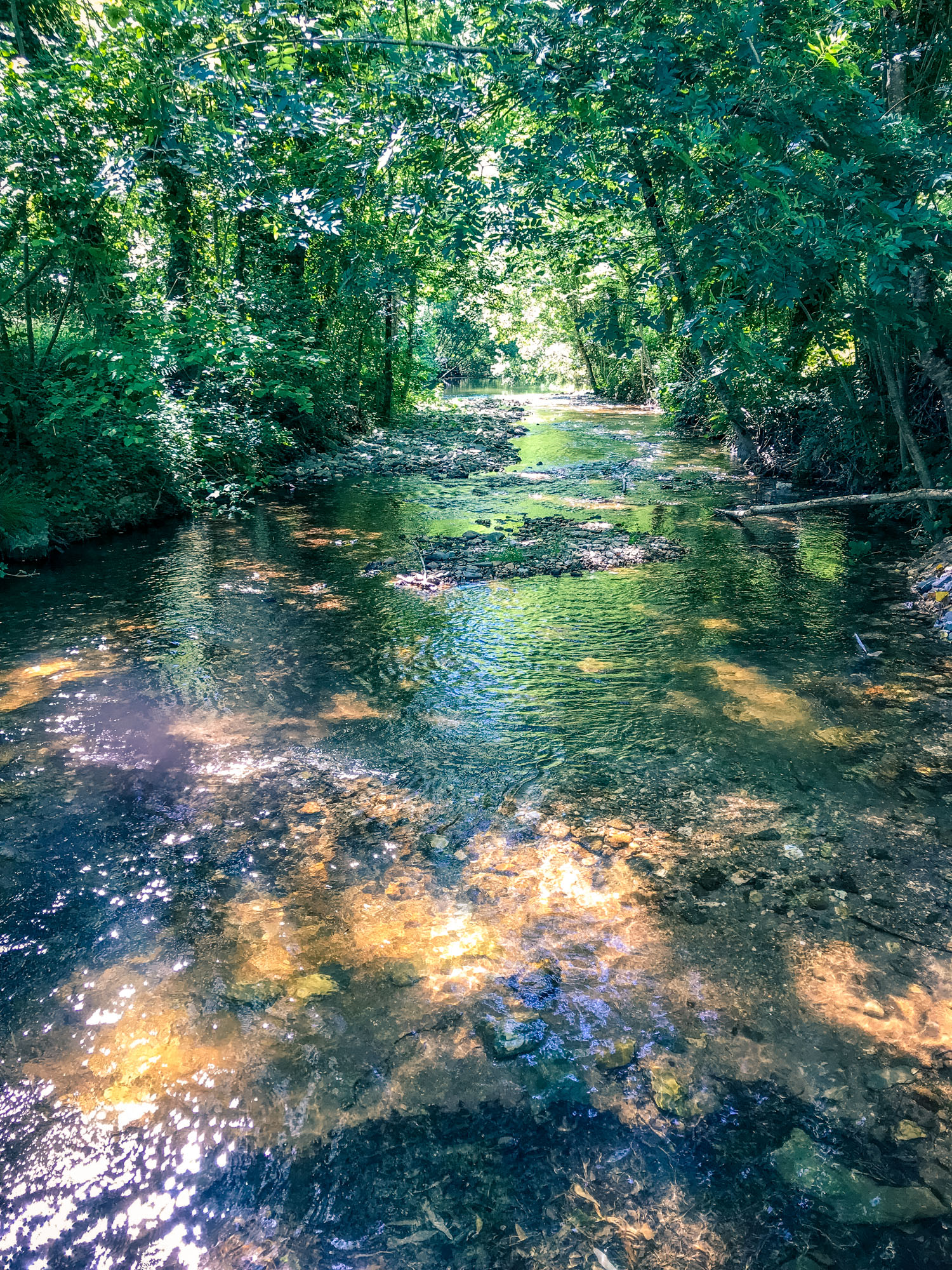 La belle découverte de Villelongue dans le Ségala