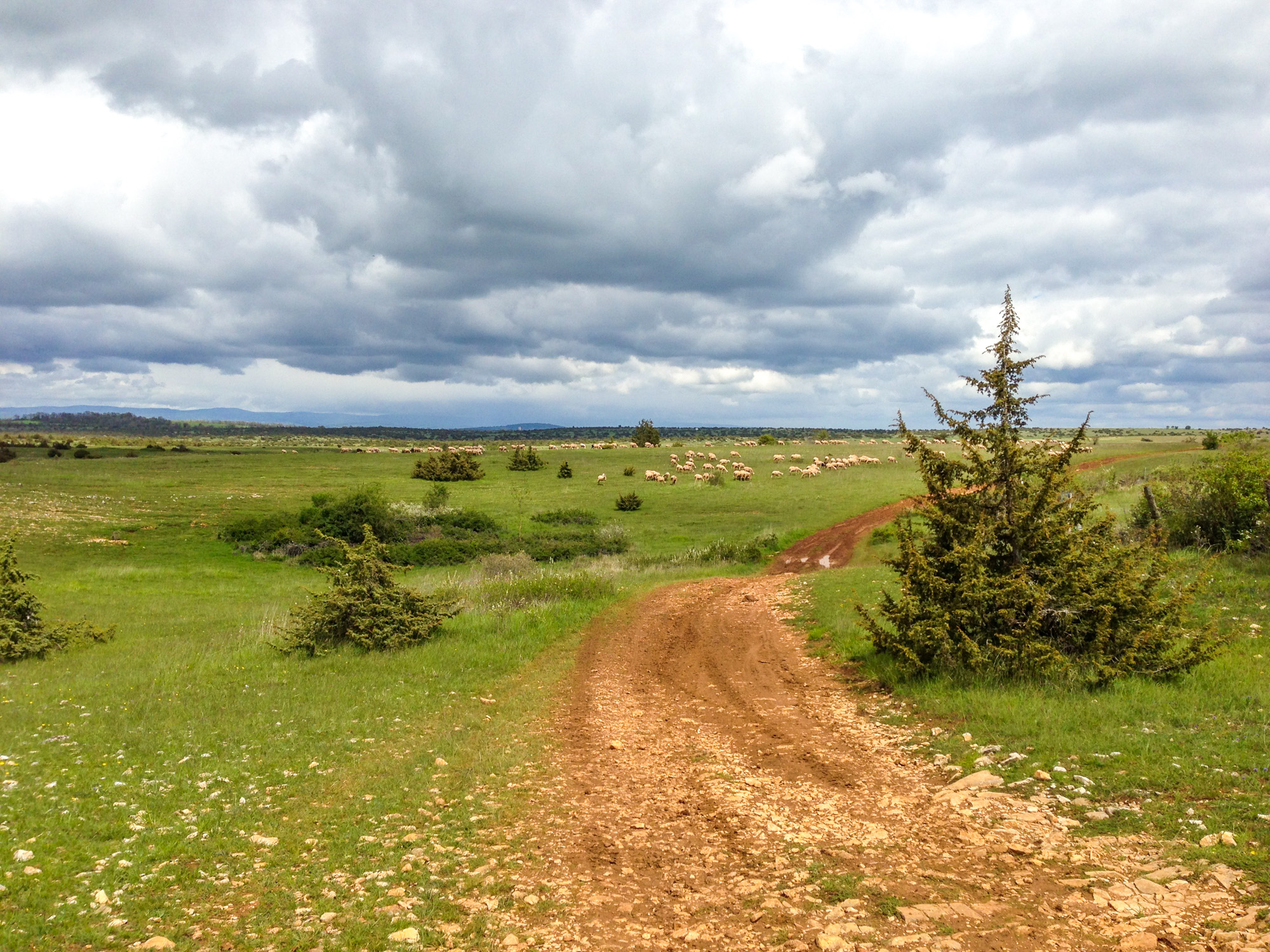 Randonnée hivernale sur le Causse Comtal - Découvrir
